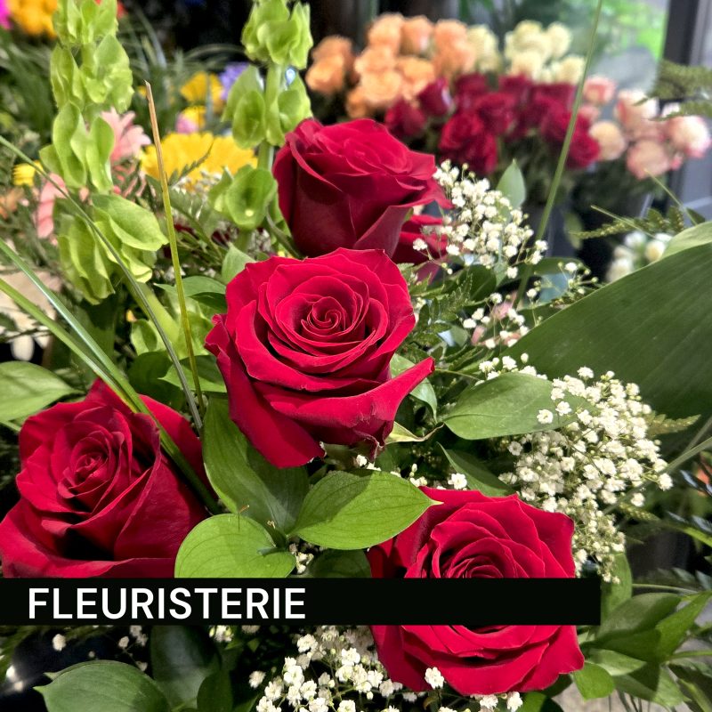 #Signé Garneau » Notre nature fait bien les choses